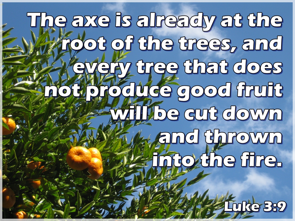 His Word In Pictures Luke 3 9 his-word-in-pictures-luke-3-9