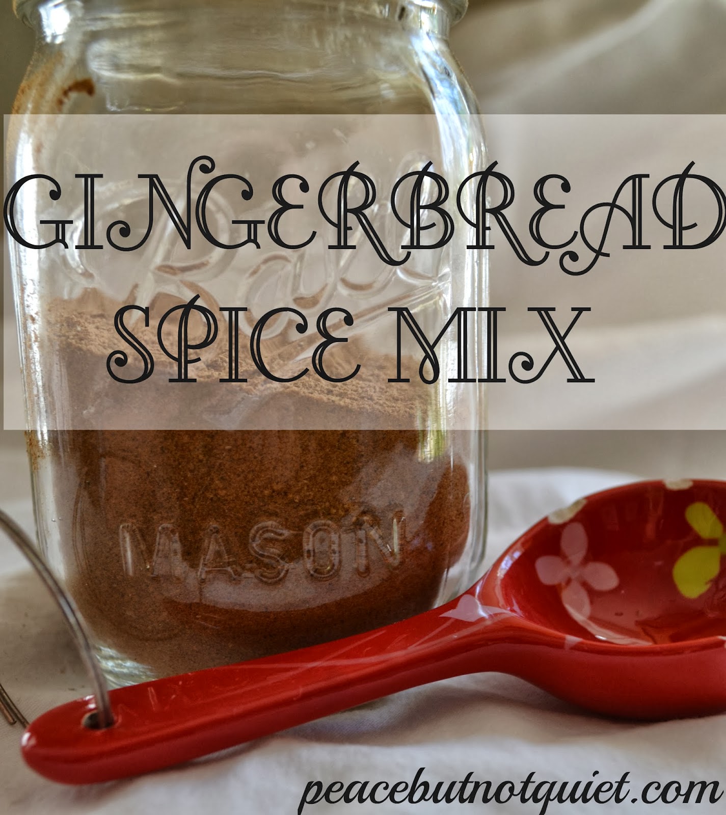Gingerbread Spice Mix gingerbread-spice-mix