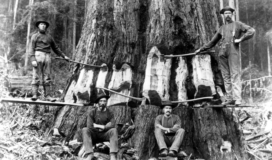 Flares Into Darkness Lumberjacks flares-into-darkness-lumberjacks