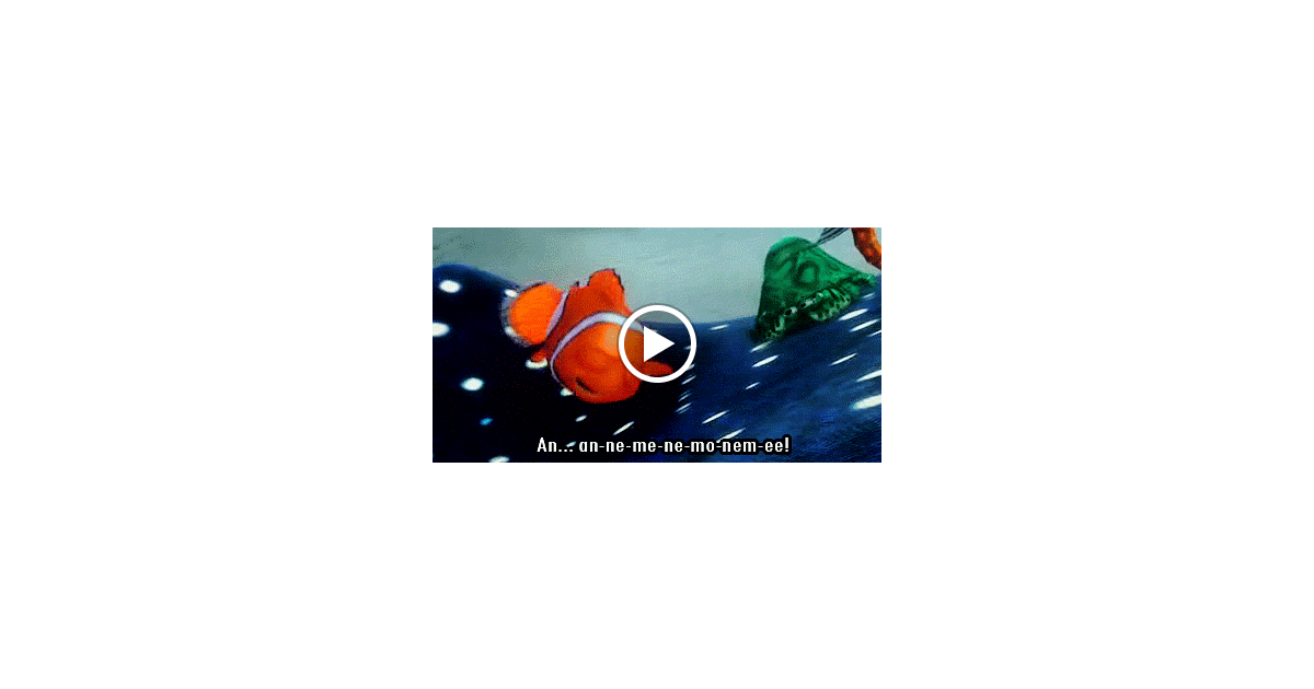 Nemo's Lucky Fin, Life, Or Something...: Nemo. The Most Adorable Fish ... Nemo's Lucky Fin, Life, Or Something...: Nemo. The Most Adorable Fish ...