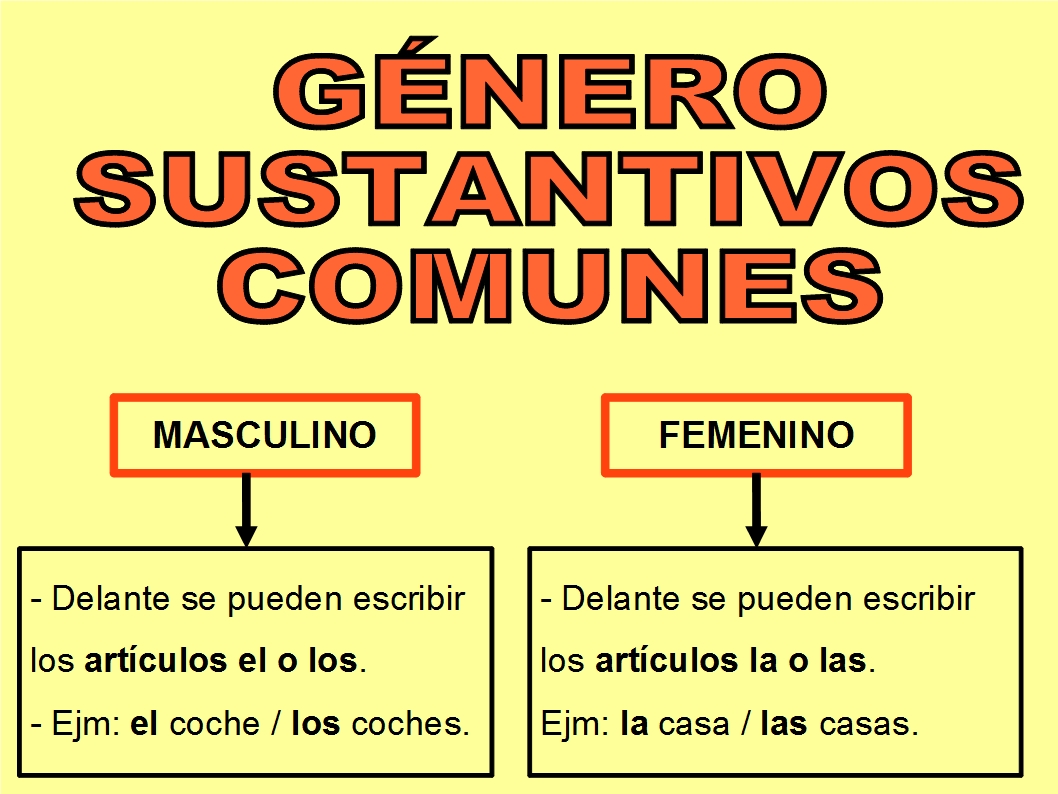 SEGUNDO DE PRIMARIA : LENGUA