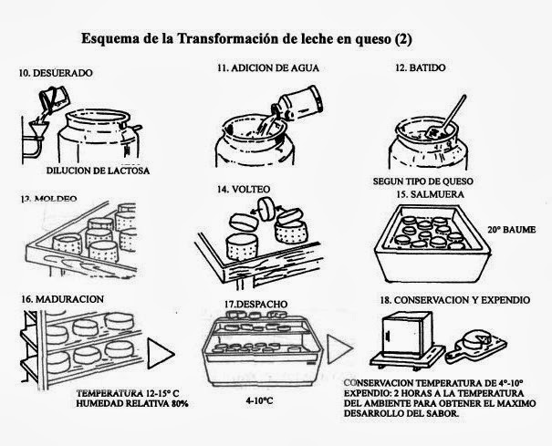 El blog del Queso: ¿Cómo se hace el Queso?