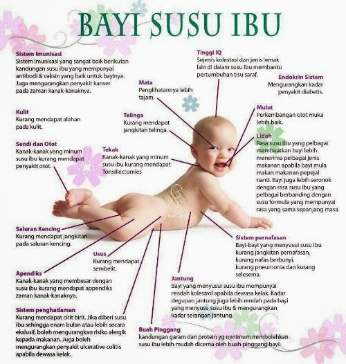 AJAIBNYA SUSU IBU, MANFAAT SEPANJANG HAYAT - Bonda Miza, Pengedar & Leader Shaklee Terbaik Malaysia