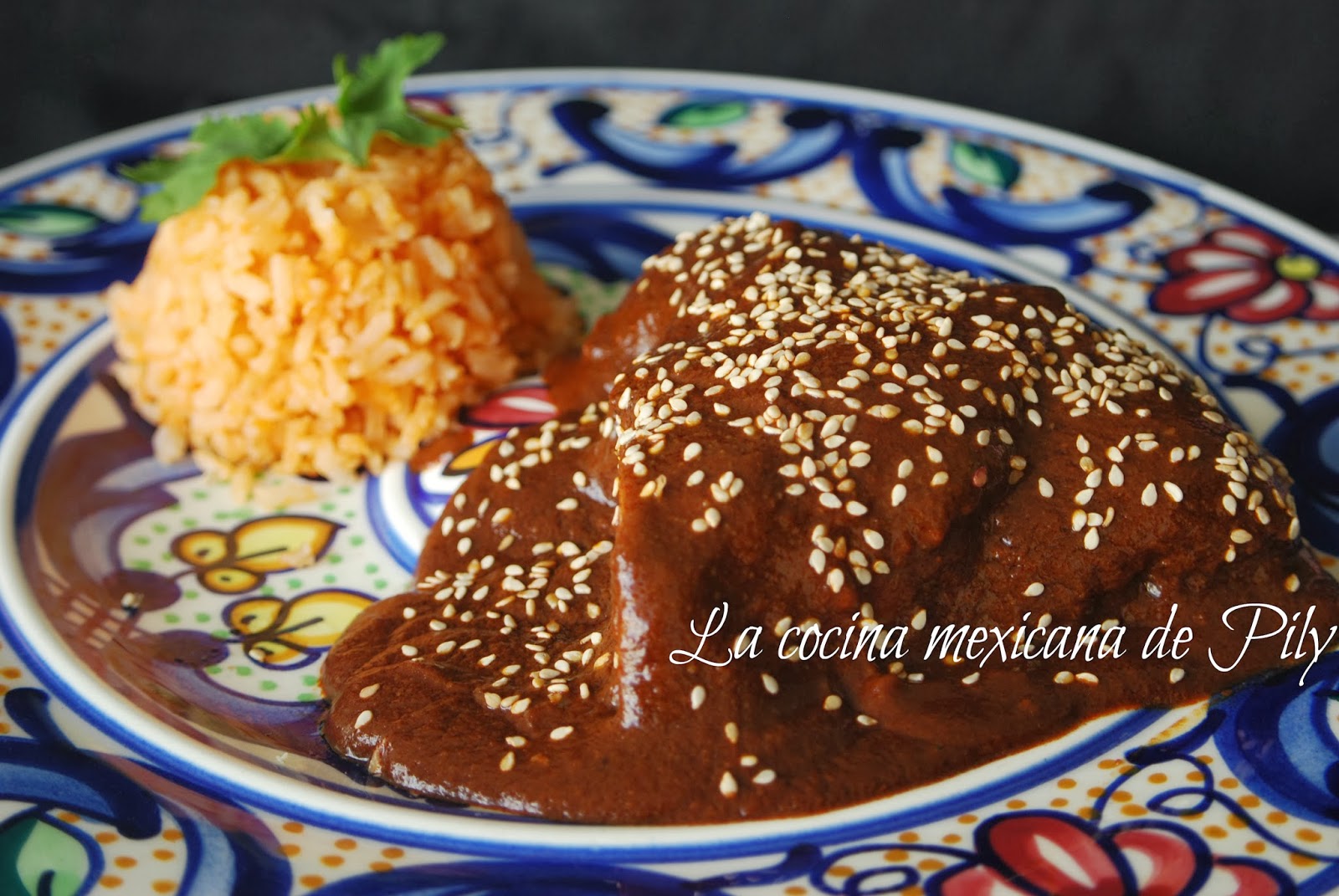 Mole Oaxaqueño | La Cocina Mexicana de Pily