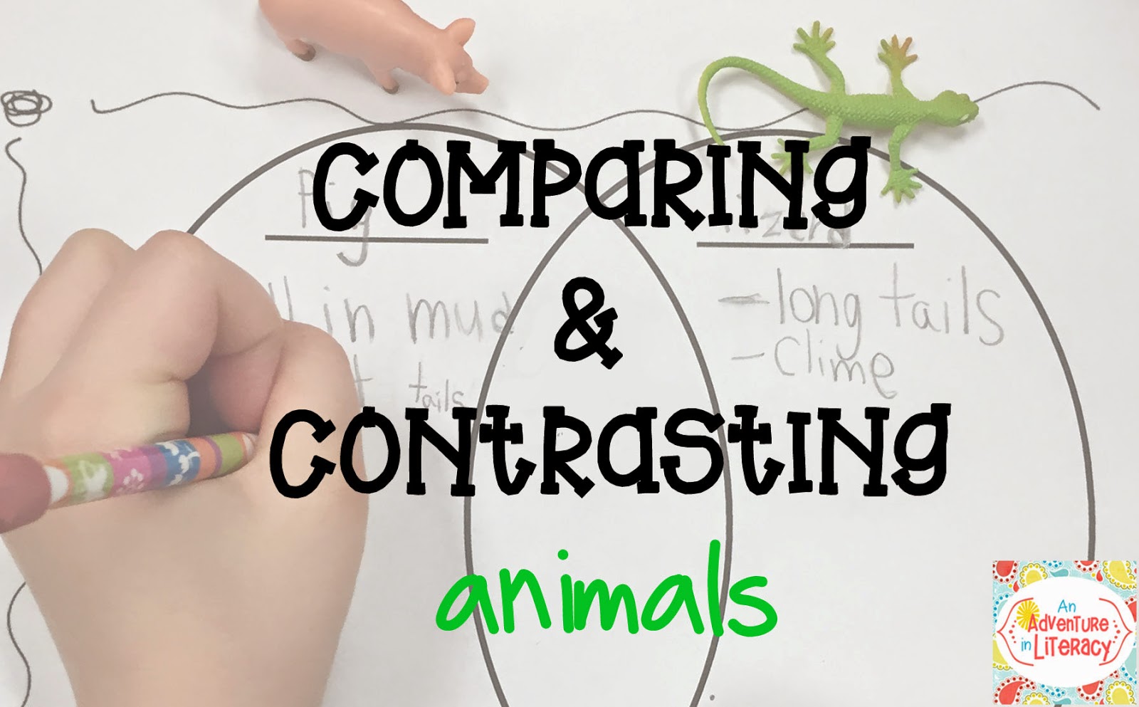 Comparing and Contrasting Animals | Adventures in Literacy Land