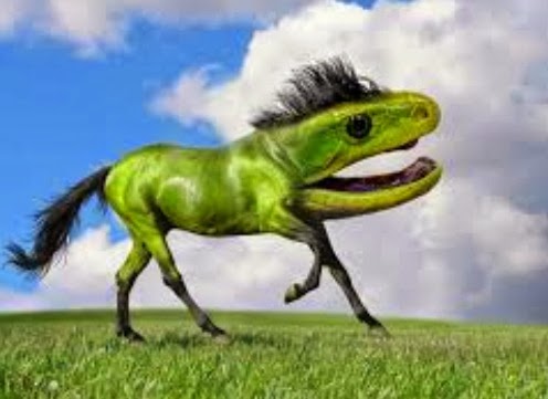 Core French with Mme Batchelor: Les animaux mélangés