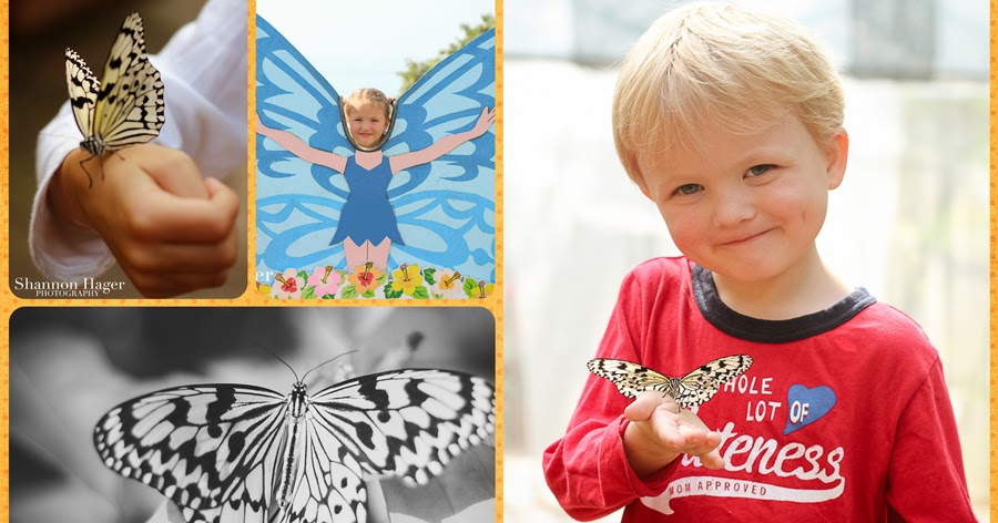 Enjoying Life With 4 Kids: Butterfly Landings
