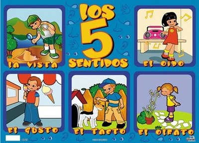 LAMINAS EDUCATIVAS: LOS 5 SENTIDOS