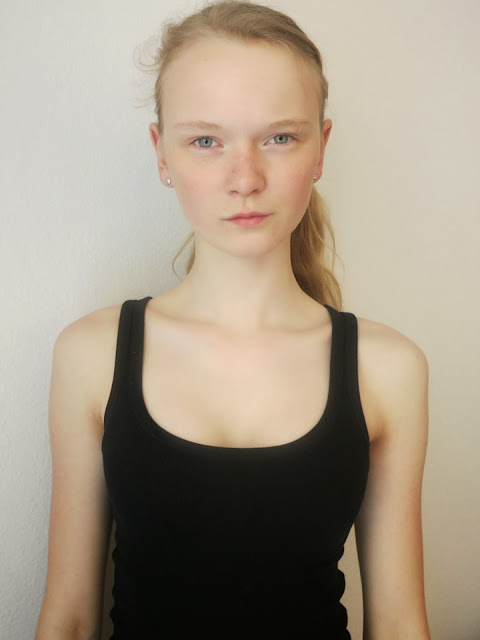 Classify Danish Model