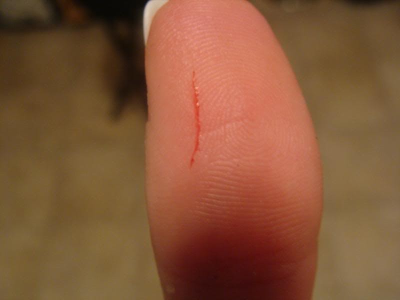 Stress Case My Biggest Fears Paper Cuts stress-case-my-biggest-fears-paper-cuts