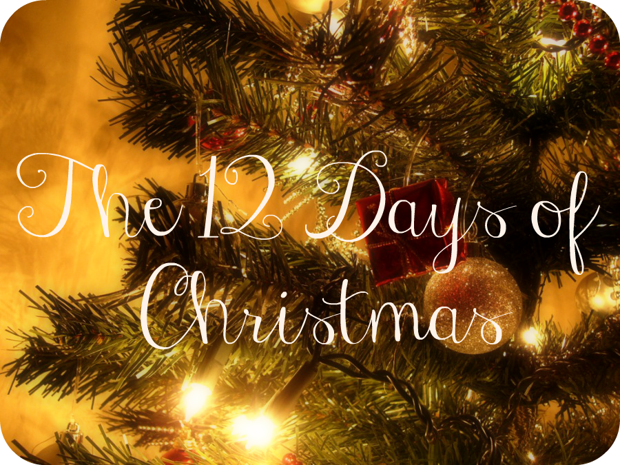 A Simple Love Of Reading On The Fifth Day Of Christmas a-simple-love-of-reading-on-the-fifth-day-of-christmas