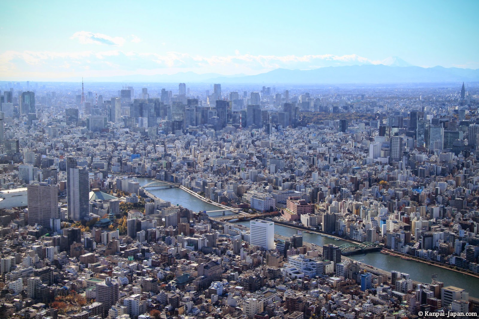 TOP 15 TOP 15 LARGEST METROPOLITAN AREAS IN THE WORLD top-15-top-15-largest-metropolitan-areas-in-the-world