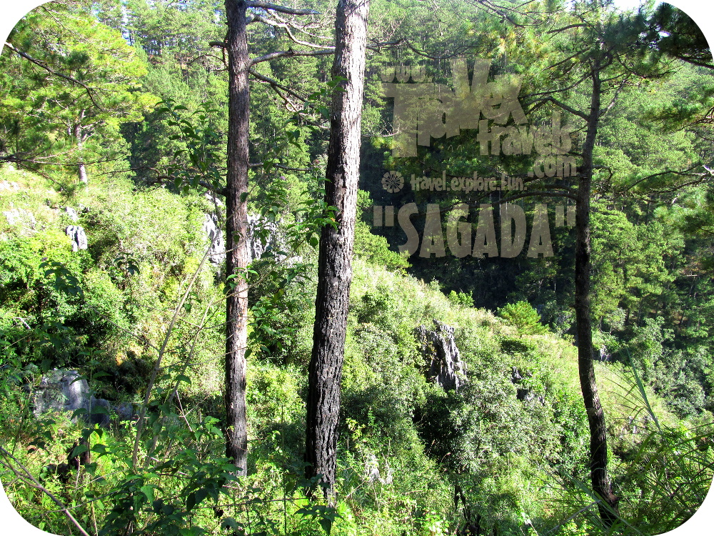 Shout Your Dreams to Echo Valley, Sagada - Travex Travels - Travel. Explore. Fun in PH