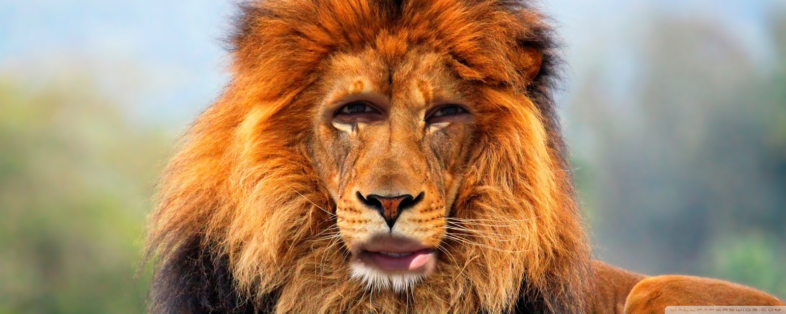 YVHS photo class: Animal portrait