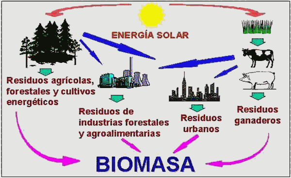 Blog de Geografía del profesor Juan Martín Martín: La Biomasa: Una fuente de energía renovable