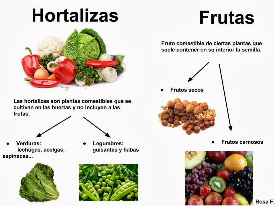 Maestra de Primaria: Hortalizas, verduras y legumbres