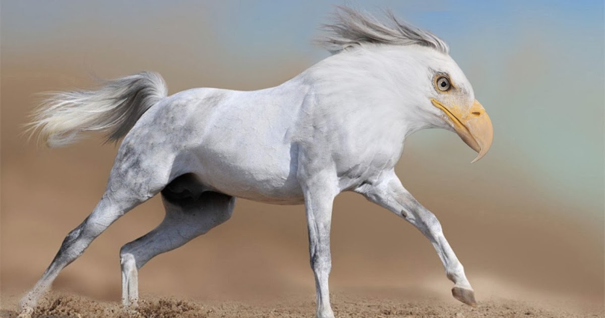 These amazing 10 photoshop Animal Hybrids Will make you thinking ...