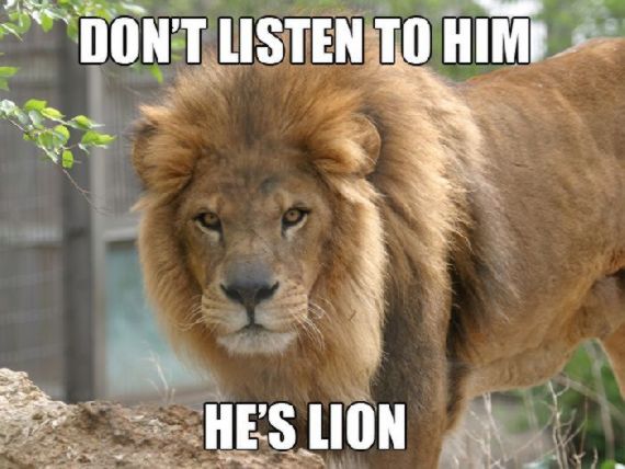 The Eco Senior Animal Puns the-eco-senior-animal-puns