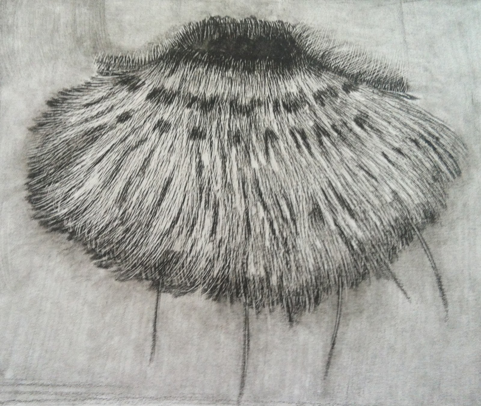 Pencil Drawing Methods Pencil Drawing Techniques Drawing Techniques With Pencil Realistic pencil-drawing-methods-pencil-drawing-techniques-drawing-techniques-with-pencil-realistic