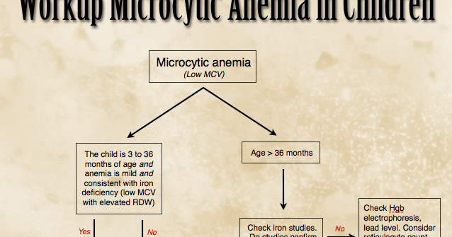 Family Practice Pearls: Algorithm for Work-up of Pediatric Anemia Family Practice Pearls: Algorithm for Work-up of Pediatric Anemia