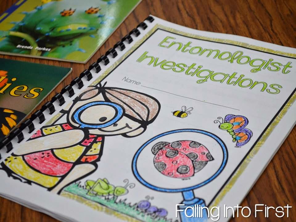 Insect Investigations | Falling into First