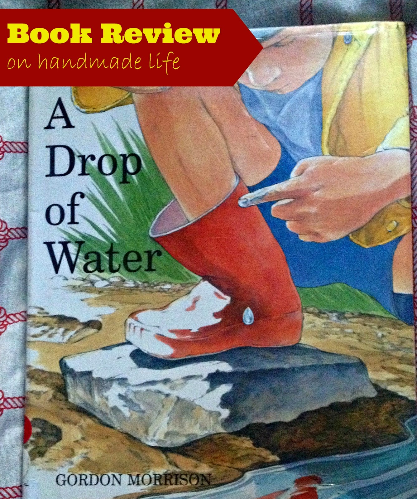 Kids Book Review: A Drop of Water by Gordon Morrison