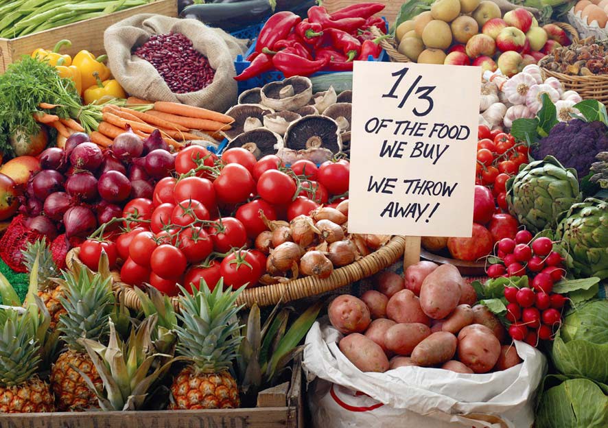 TED Talks Long Island Community Gardens Blog: TED talk Tristram Stuart ...