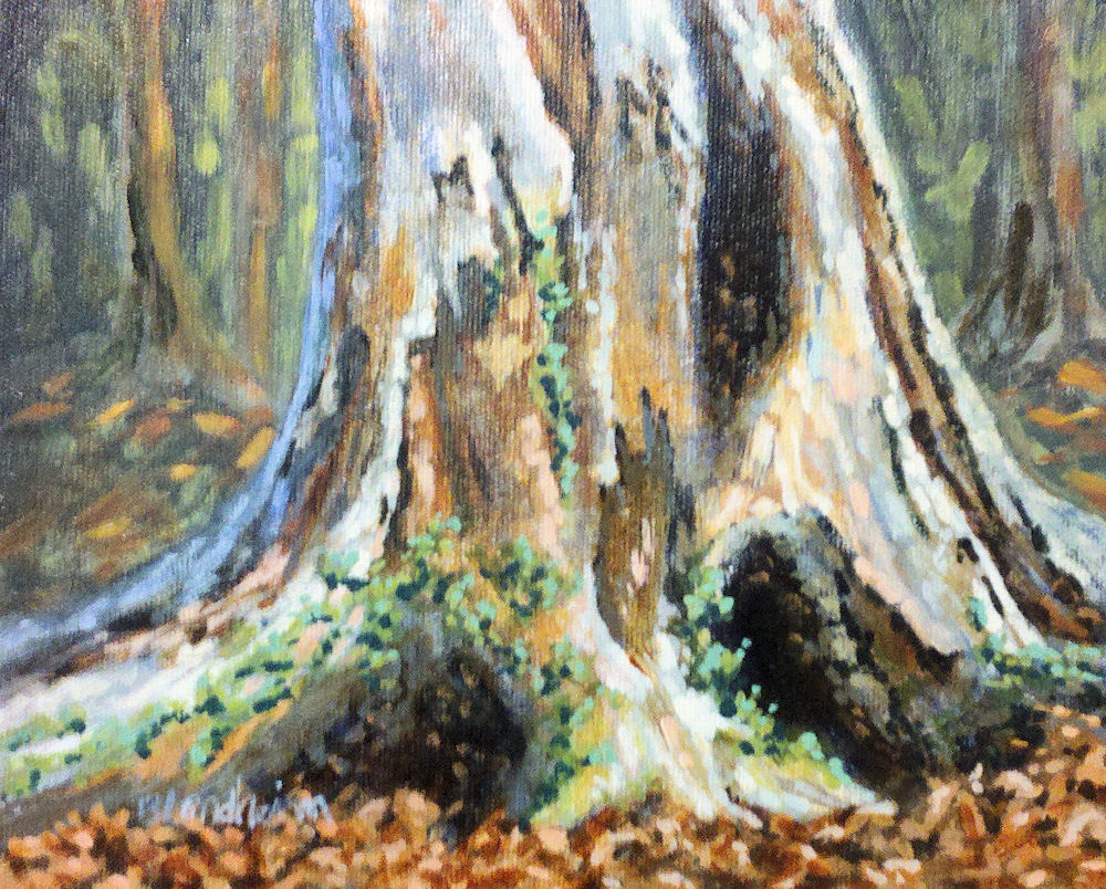 Tree Painter Studying A Tree Trunk tree-painter-studying-a-tree-trunk