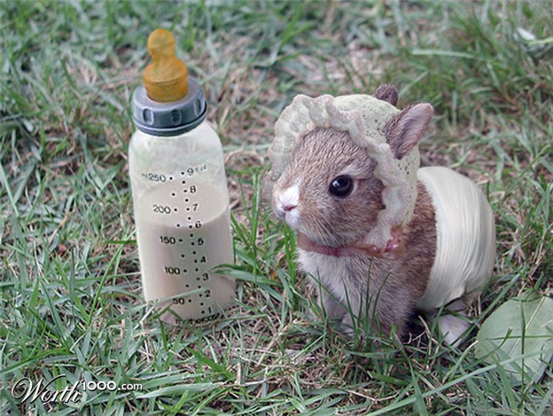 I Know Everything Except What I m Talking About A Blist Of Cute Baby Things That Make Me Squeal i-know-everything-except-what-i-m-talking-about-a-blist-of-cute-baby-things-that-make-me-squeal
