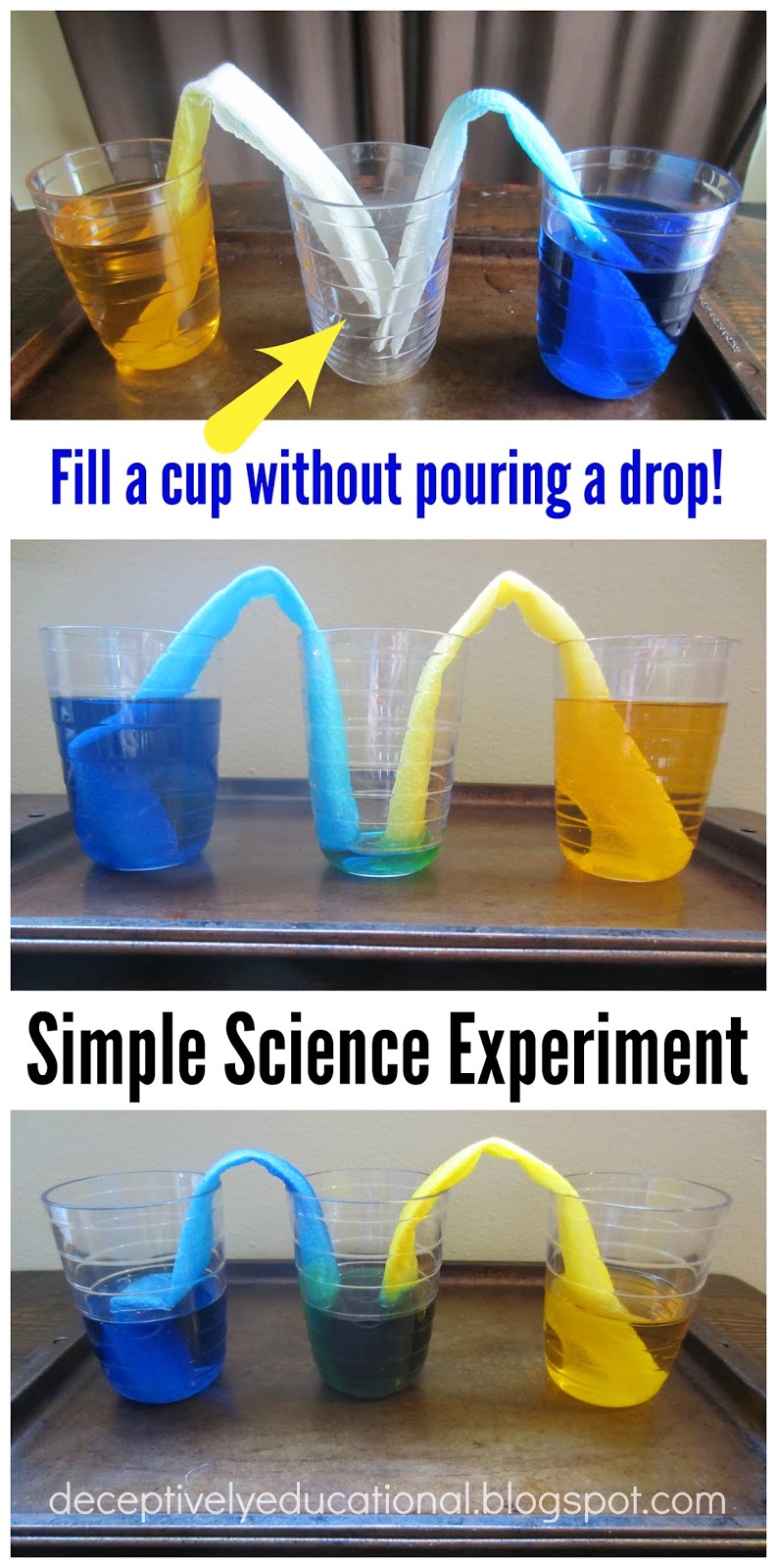 Relentlessly Fun Deceptively Educational Walking Water a Science And relentlessly-fun-deceptively-educational-walking-water-a-science-and