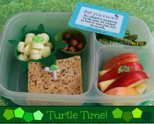 Biting The Hand That Feeds You: Turtle Time!