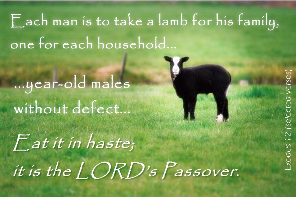 His Word In Pictures Exodus 12 Maundy Thursday his-word-in-pictures-exodus-12-maundy-thursday