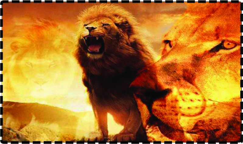 Leones de reggae - Imagui