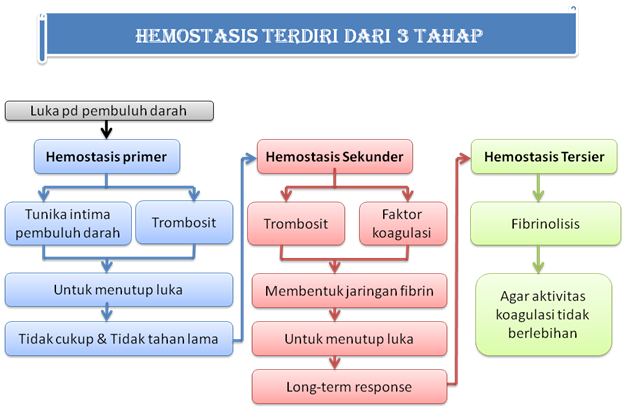 ALL IS WELL: Fisiologi Hemostasis