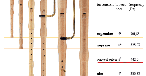 Amazing Recorder: History of the Recorder