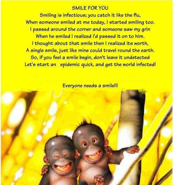 Paphos Dentist, Dr Elena Demetriou: Smile and conquer your dental fears!