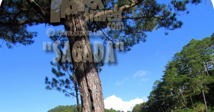 Shout Your Dreams to Echo Valley, Sagada - Travex Travels - Travel. Explore. Fun in PH
