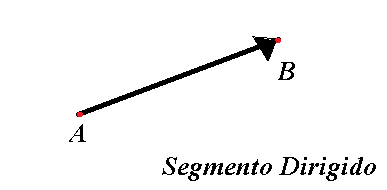 Diccionario Matematicas: Segmento Dirigido