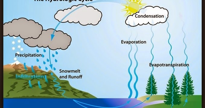 Thoughts to Promote Positive Action...: The Hydrologic Cycle