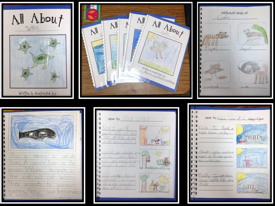 Non-fiction books! - Susan Jones Teaching