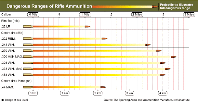 Ammo and Gun Collector: Rifle Caliber and Shotgun Load Dangerous Range Charts