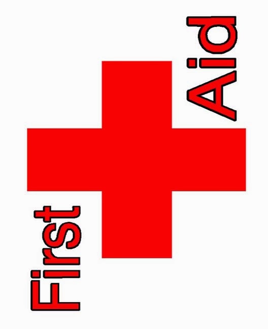 Girl Scout Leader 101 Junior Badge First Aid girl-scout-leader-101-junior-badge-first-aid