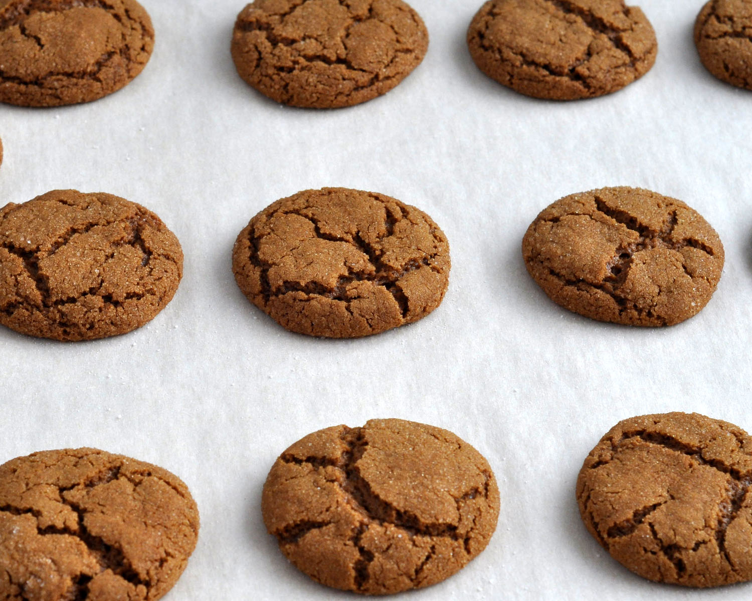 Beki Cook s Cake Blog Gingersnap Cookie Recipe beki-cook-s-cake-blog-gingersnap-cookie-recipe