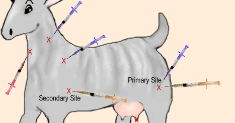 From Oven To Icebox: Realization