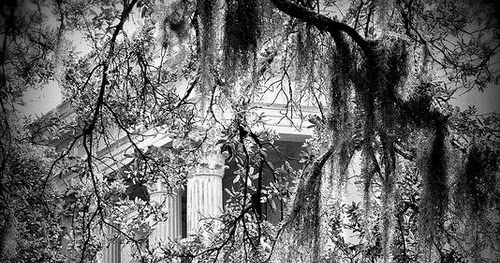 A Simple Life In The South Southern Gothic Literature a-simple-life-in-the-south-southern-gothic-literature