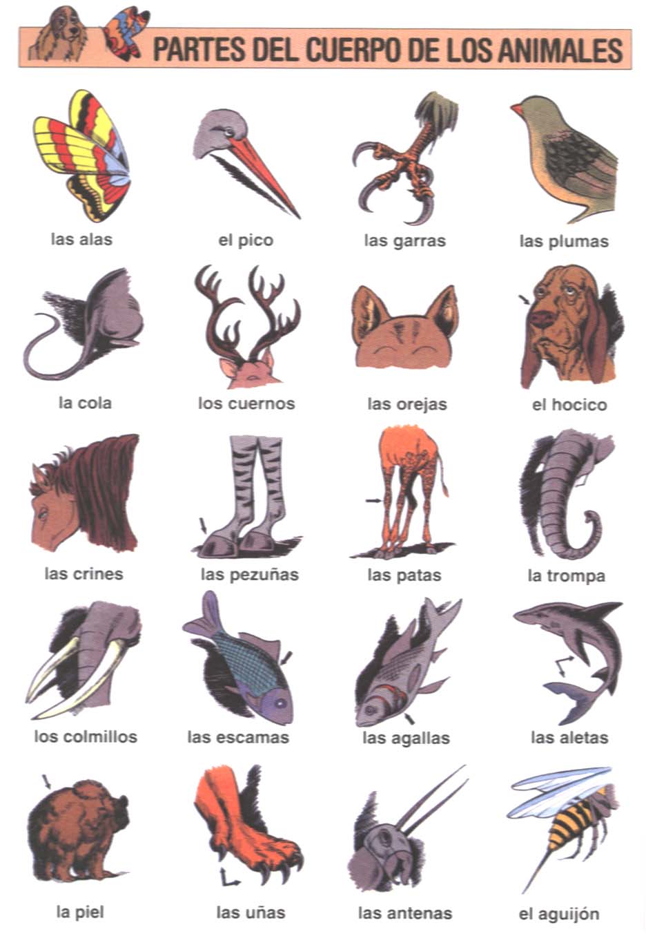 El rincón de Atención y Memoria