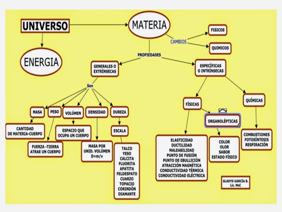 BIOLOGÍA NOVENO COLEGIO AGUSTÍN FERNÁNDEZ : MAPA CONCEPTUAL DE LA MATERIA