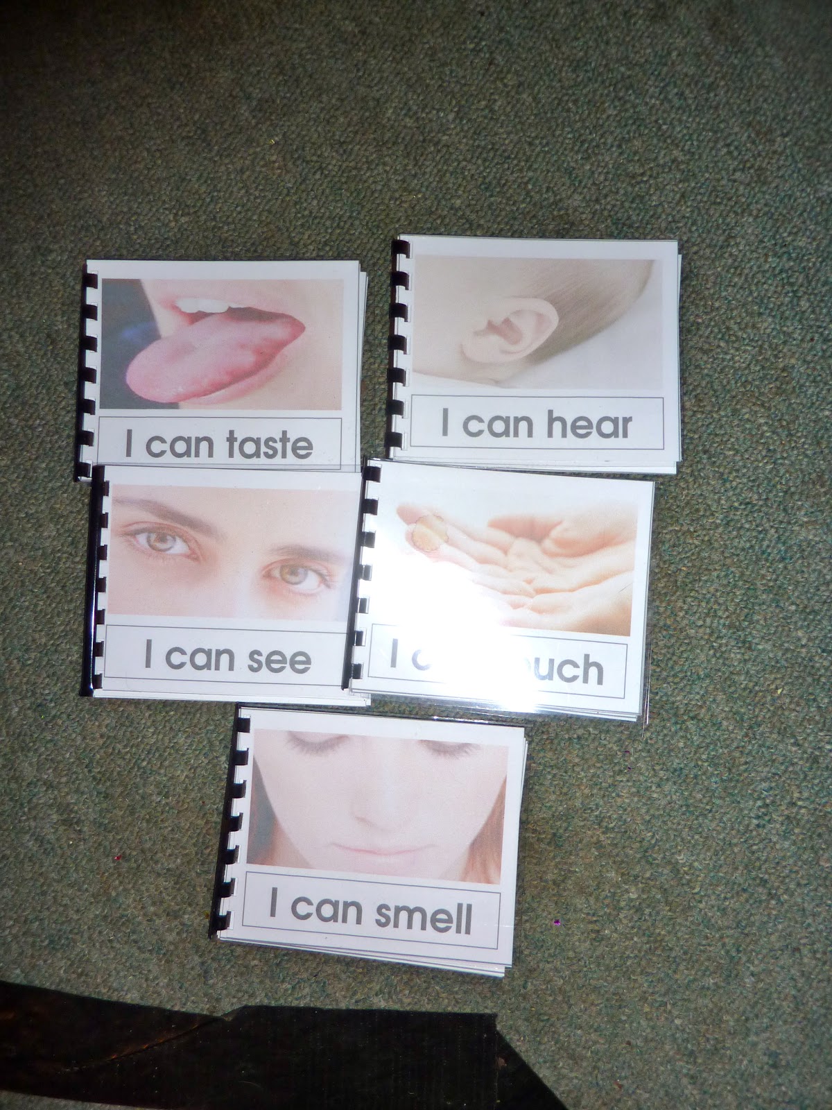 The 5 Senses