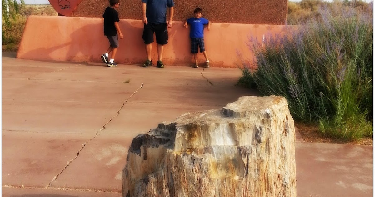 Field Trip Mom : Petrified Forest National Park