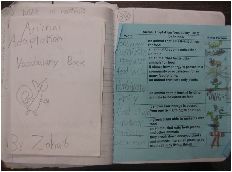 Science Notebooking: Animal Adaptations - Adrienne Teaches